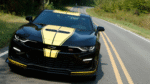 Sylvester Stallone Car Collection: A Look Inside the Garage of a ...