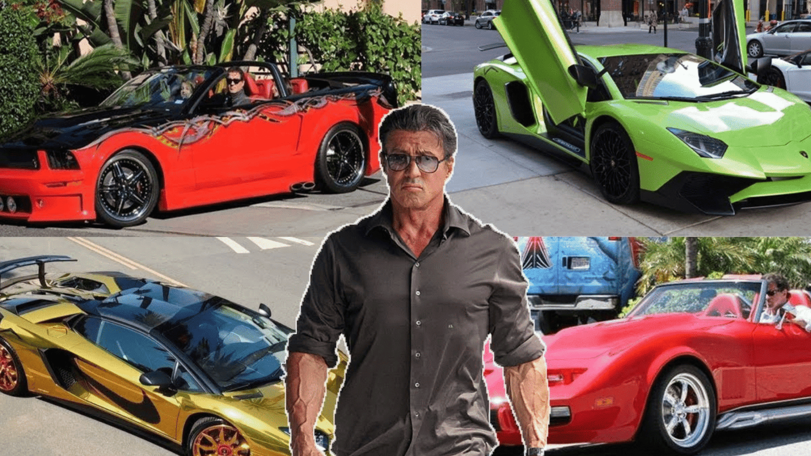 Sylvester Stallone Car Collection: A Look Inside the Garage of a ...